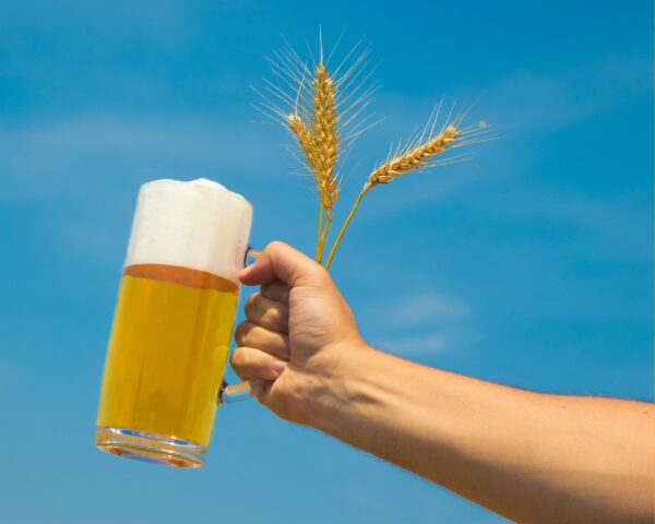 Beer School: Bock to the Basics with the Maibock – Athentic Brewing Company